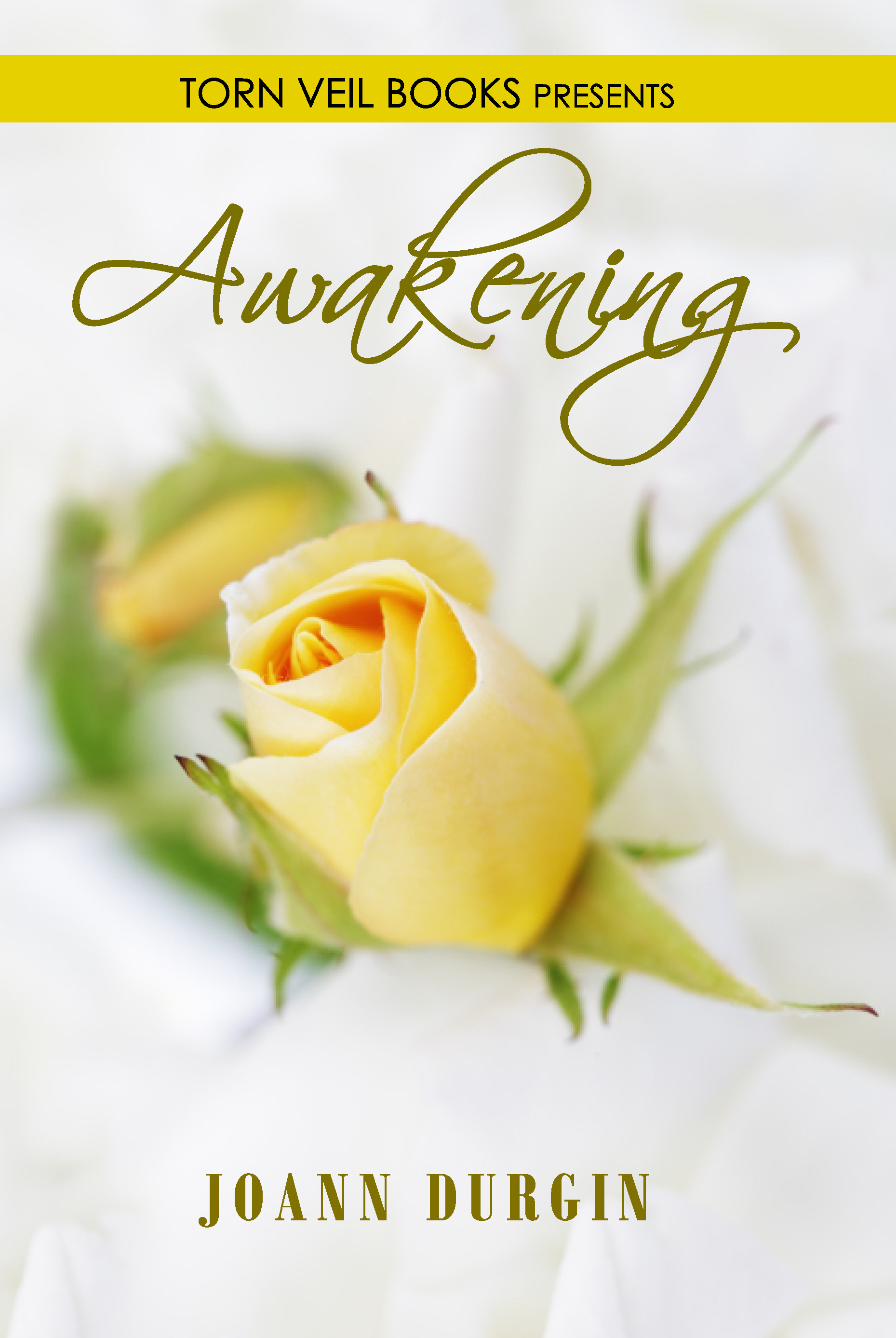 Awakenings Book Cover Design Final – Loved, chosen, & empowered