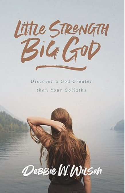 Encouragement for the Weak and Weary-guest post by Debbie Wilson ...